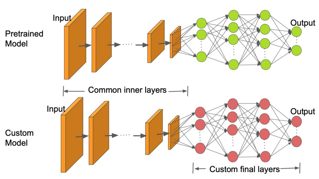 PyTorch中使用迁移训练（Transfer Learning）进行图像分类-CSDN博客