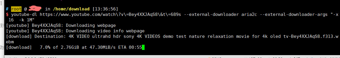 Youtube-dl调用外部Aria2多线程加速下载_aria2c 多线程指定下载速率-CSDN博客