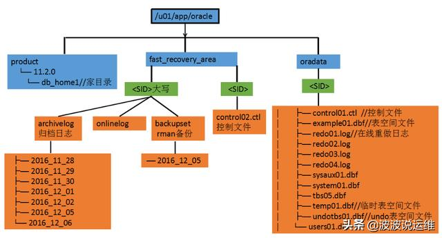 Oracle 11g目录结构详解oracle左侧文件夹解释 Csdn博客 3762
