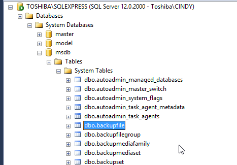 msdb 数据库_系统msdb数据库的介绍和提示-CSDN博客