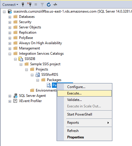 aws rds监控慢sql_在AWS RDS SQL Server上使用SSIS包-CSDN博客