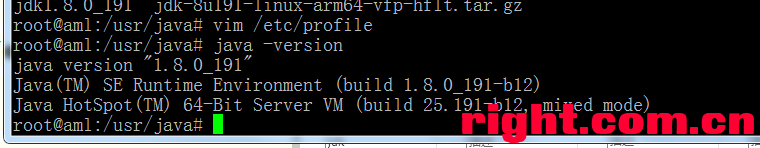 斐讯N1盒子刷Armbian安装jdk做Java服务器_n1盒子安装java-CSDN博客