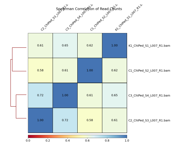 2020.9.17丨Chip-seq结果可视化之peak检测（下）_deeptools计算peak样本之间的相关性-CSDN博客