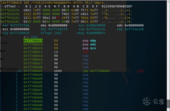 linux 逆向工具 radare2入门_redare2搜索字符串-CSDN博客