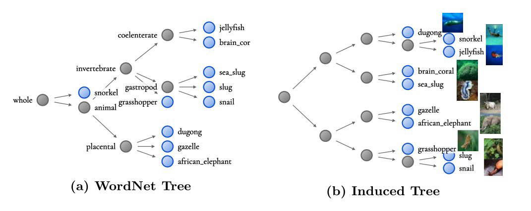 [论文解读]NBDT: Neural-Backed Decision Trees-CSDN博客