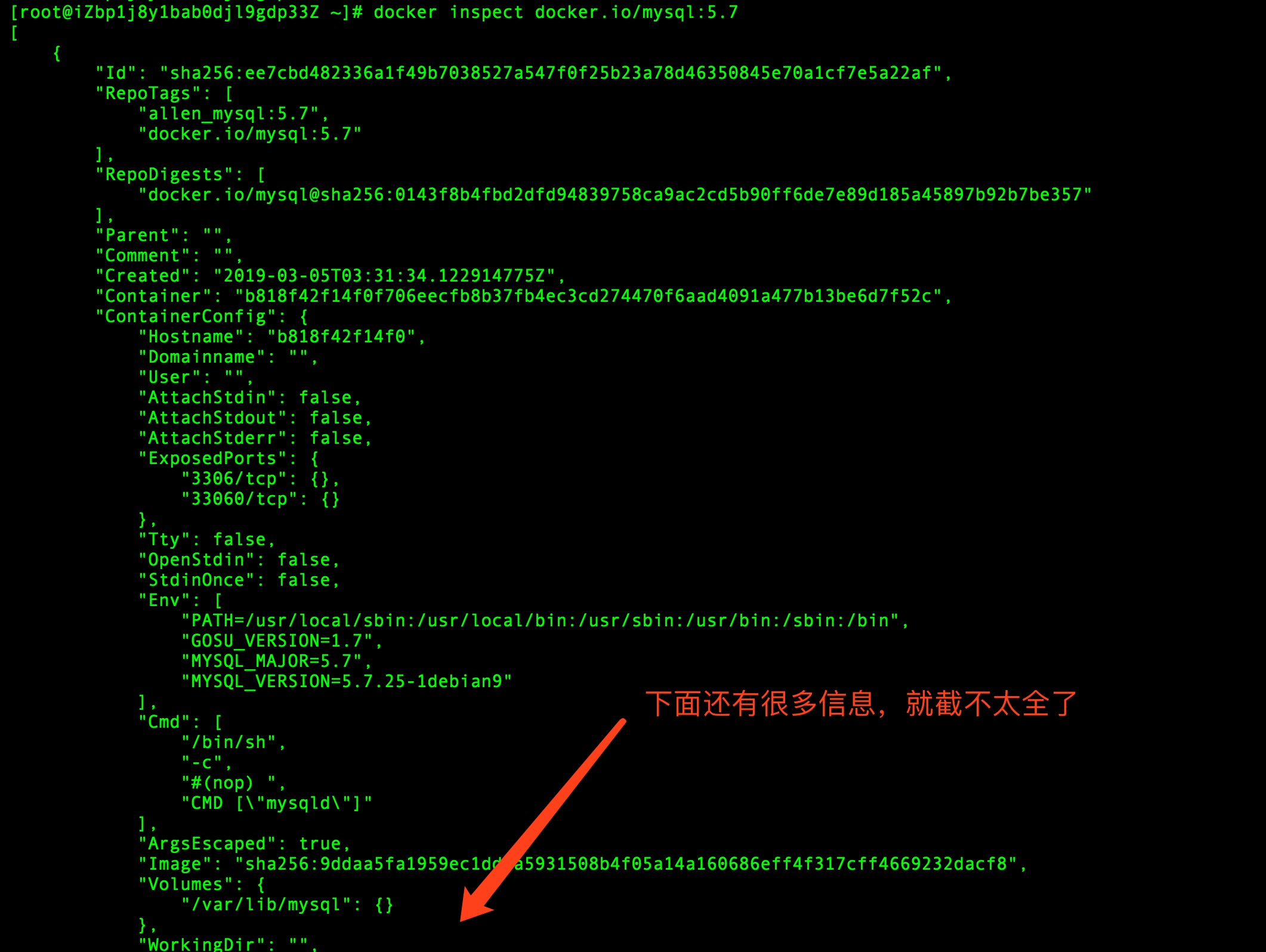 Docker 查看镜像信息 Docker 查看自己的镜像 Csdn博客