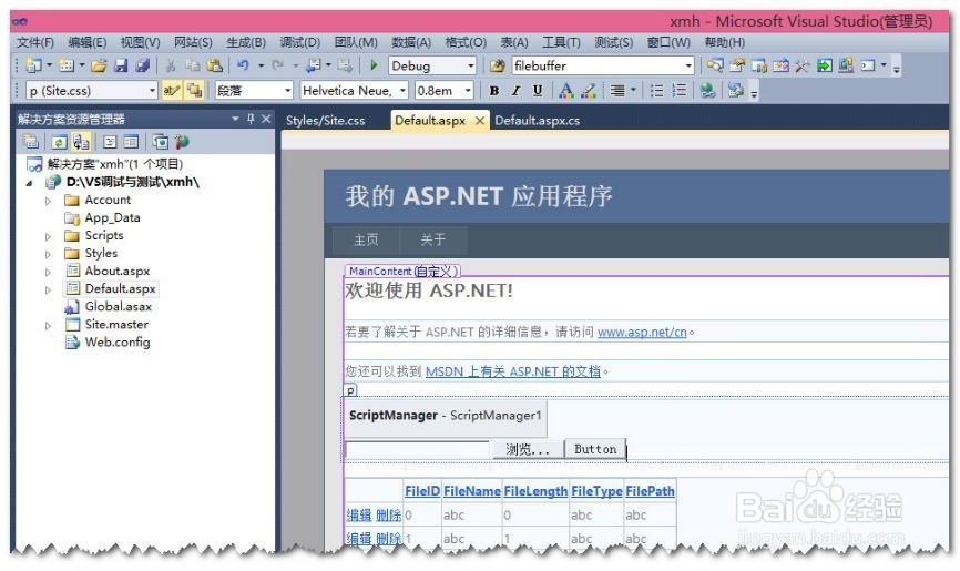 利用 Visual studio 制作 ASP.NET 网站（基础）_visualstudio网页设计作业-CSDN博客