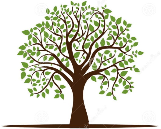 Javascript实现树结构（一）javascript 树形结构 Csdn博客