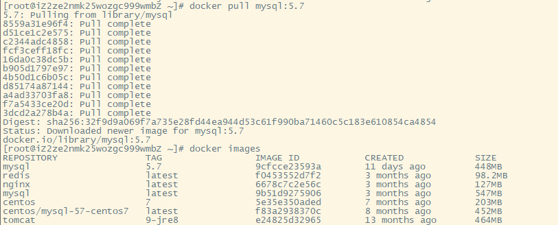 阿里云服务器安装docker，拉取常用的mysql,redis,nginx等镜像_阿里云如何下载nginx镜像-CSDN博客