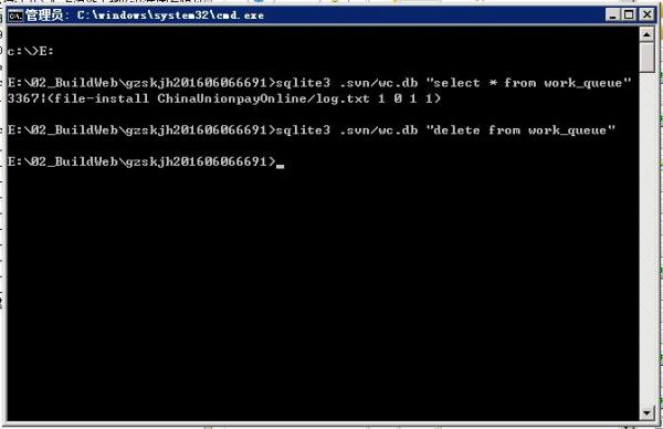 svn-clearup 报错的处理（Cleanup failed to process the following paths...）_svn cleanup-CSDN博客