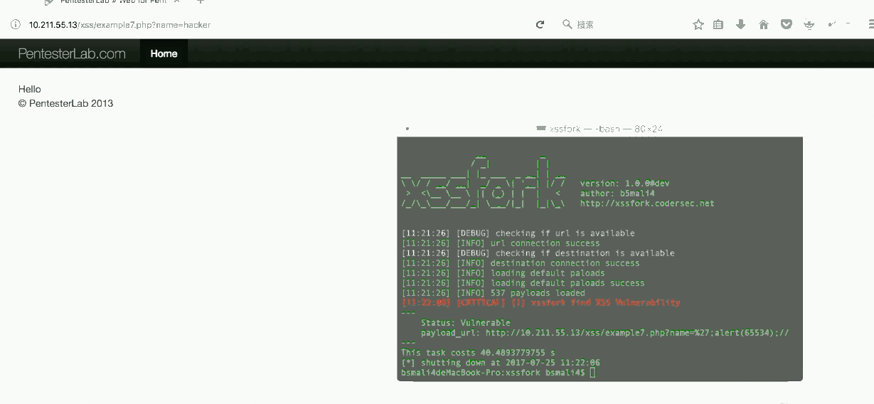 XSSFORK：新一代XSS自动扫描测试工具（精）-CSDN博客