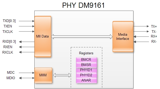 网卡介绍——MAC与PHY的关系分析_phy mac-CSDN博客