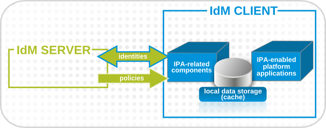 RedHat搭建IPA-Server_ipa-server-install-CSDN博客