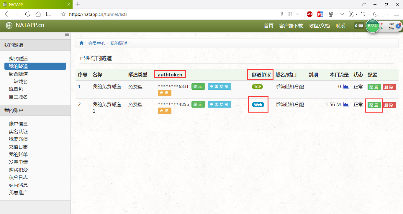 natapp在linux服务器上的使用_natapp在linux后台运行后如何查看域名-CSDN博客