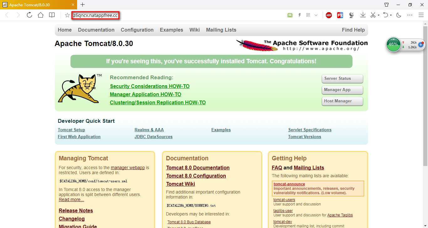 natapp在linux服务器上的使用_natapp在linux后台运行后如何查看域名-CSDN博客