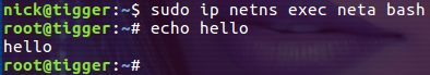 Linux ip netns 命令_netns 删除-CSDN博客