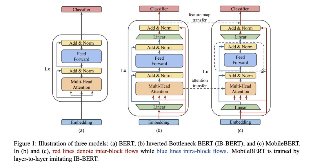 模型压缩与蒸馏！BERT家族的瘦身之路-CSDN博客