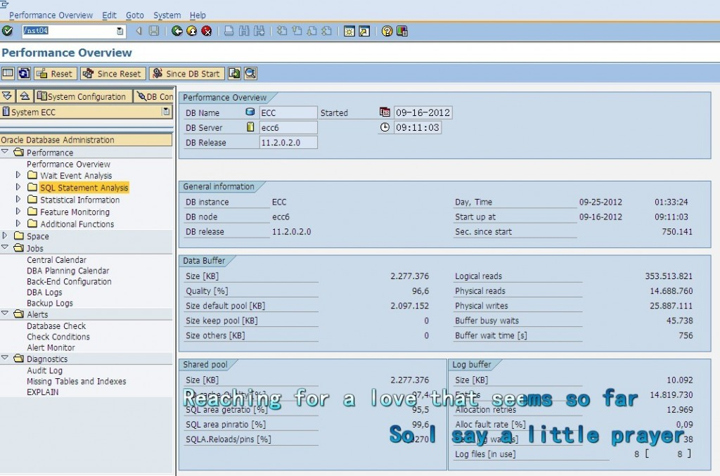 SAP BW 分析问题常用 tcode：AL11，ST06，SM51，SM64，ST05，ST04，SM37_sap st04-CSDN博客
