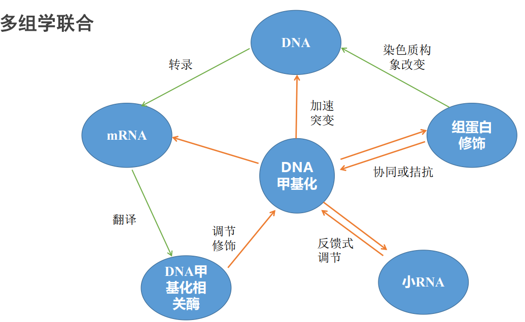 methylKit 进行差异甲基化分析 - 程序员大本营