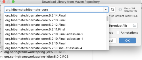 Cannot resolve org.hibernate:hibernate-core:5.2.10.Final_cannot resolve org.hibernate:hibernate ...