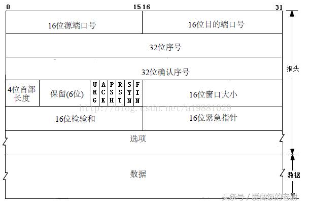 cap文件格式解析_.cap-CSDN博客