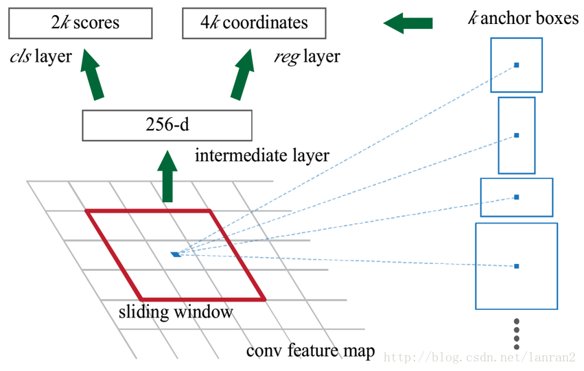 RPN - region proposal network (区域选取网络)-CSDN博客
