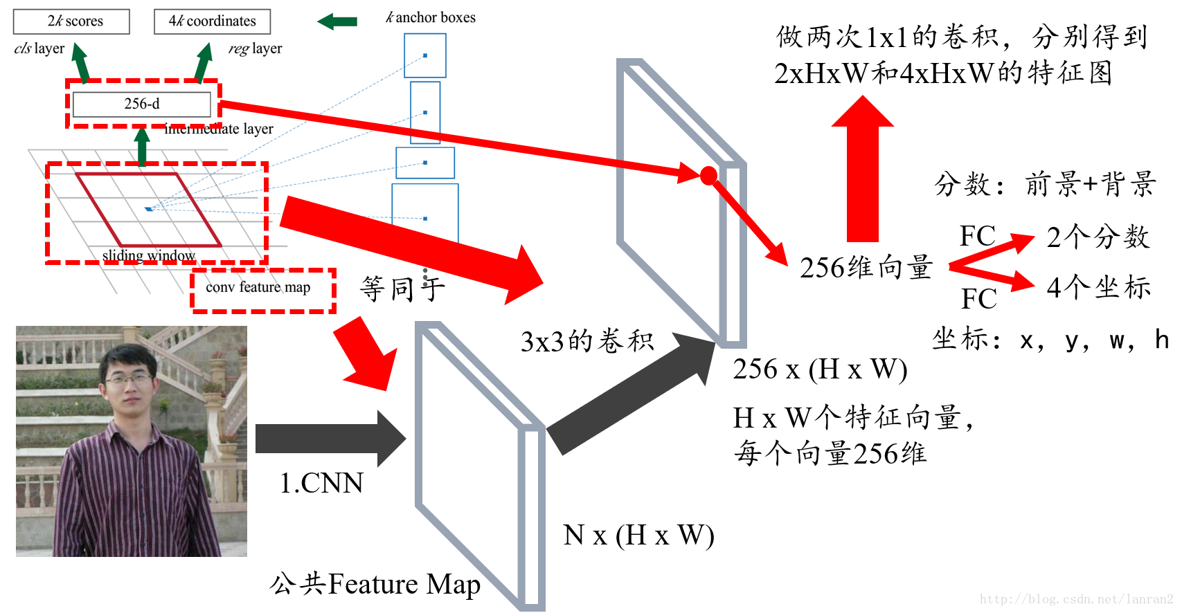 RPN 区域选取网络 region proposal network_region proposal networks ( rpn )翻译 ...