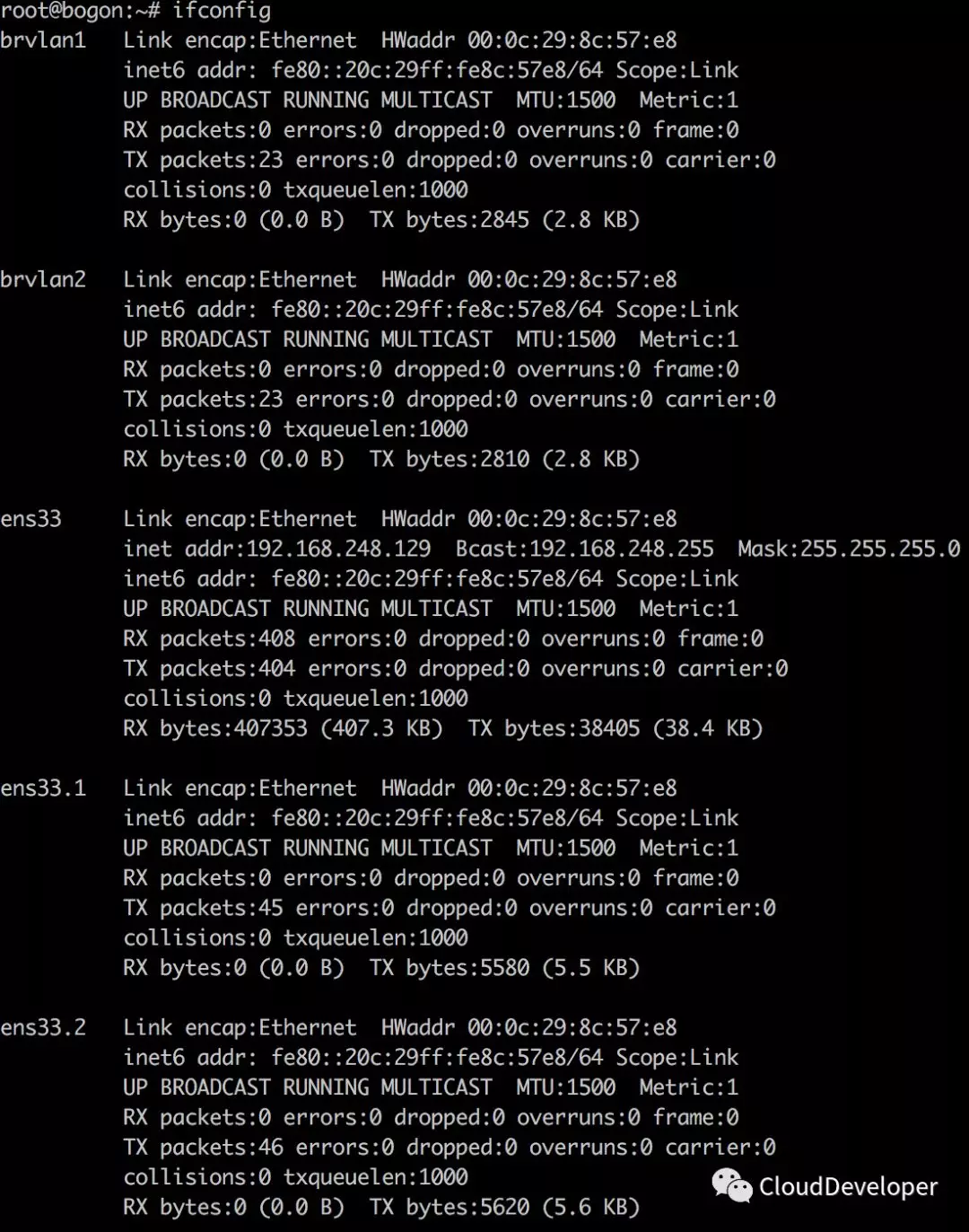 Linux 系统下实践 VLAN_linux vlan-CSDN博客