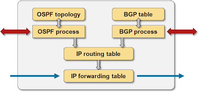 FIB表与RIB表的区别与联系_fib rib-CSDN博客