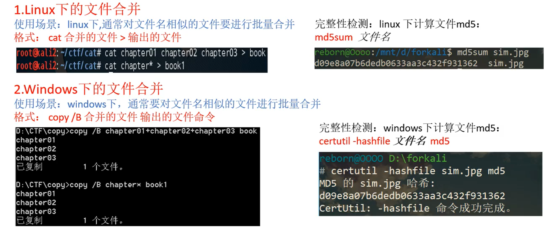 ctf基本操作_tnoctf-CSDN博客