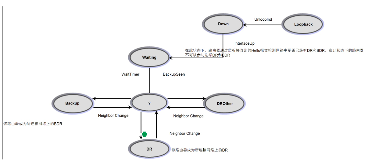 4. DR/BDR以及邻接关系_苒苒物华休&的博客-CSDN博客_dr与bdr之间是邻接关系吗
