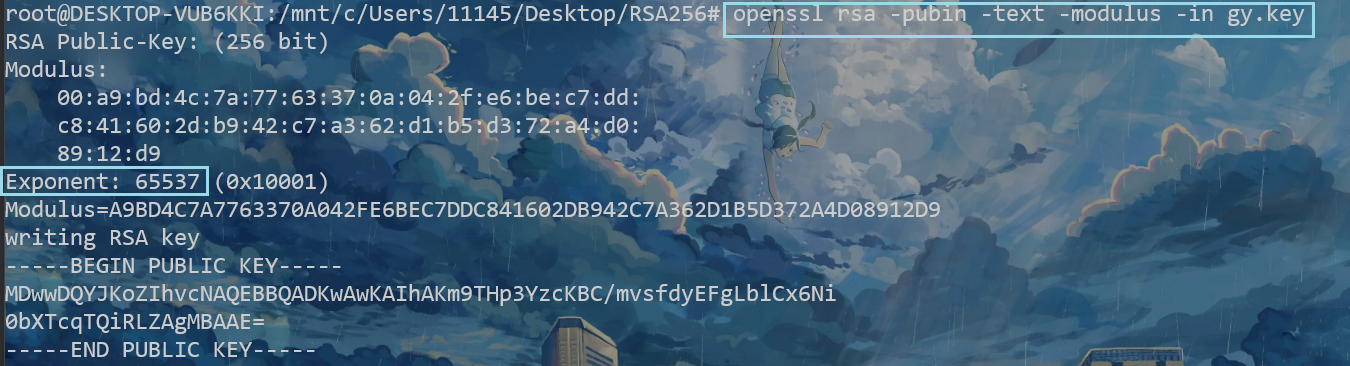 RSA(攻防世界)Rsa256 -- cr4-poor-rsa-CSDN博客