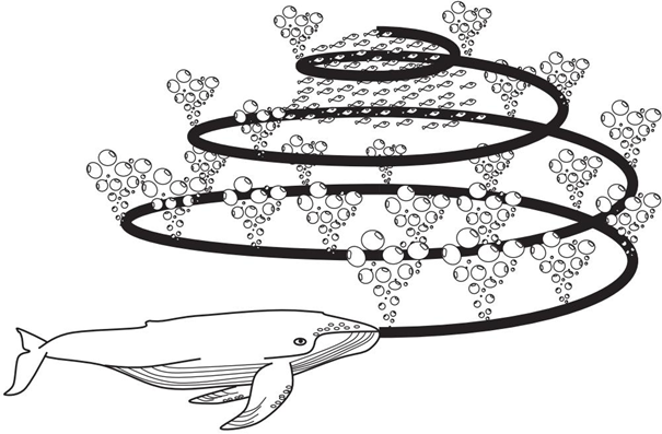 群体智能优化算法之鲸鱼优化算法（Whale Optimization Algorithm，WOA）_自然群体算法-CSDN博客