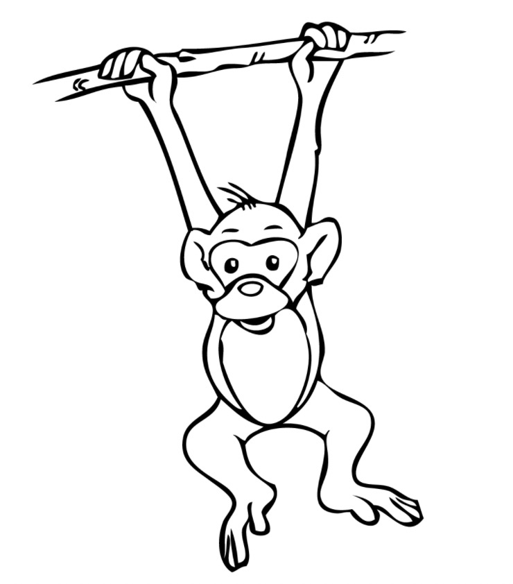 Monkey测试学习（1）初识 [一篇非常全面详细的monkey入门介绍！]_activities和 monkey-CSDN博客