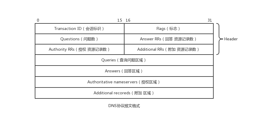 DNS协议详解及报文格式分析_protocal dns-CSDN博客