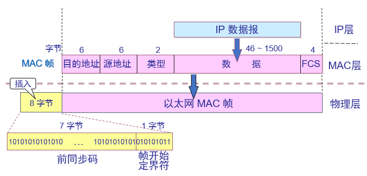 计网—以太网帧ethernet2帧格式里没有长度 Csdn博客 