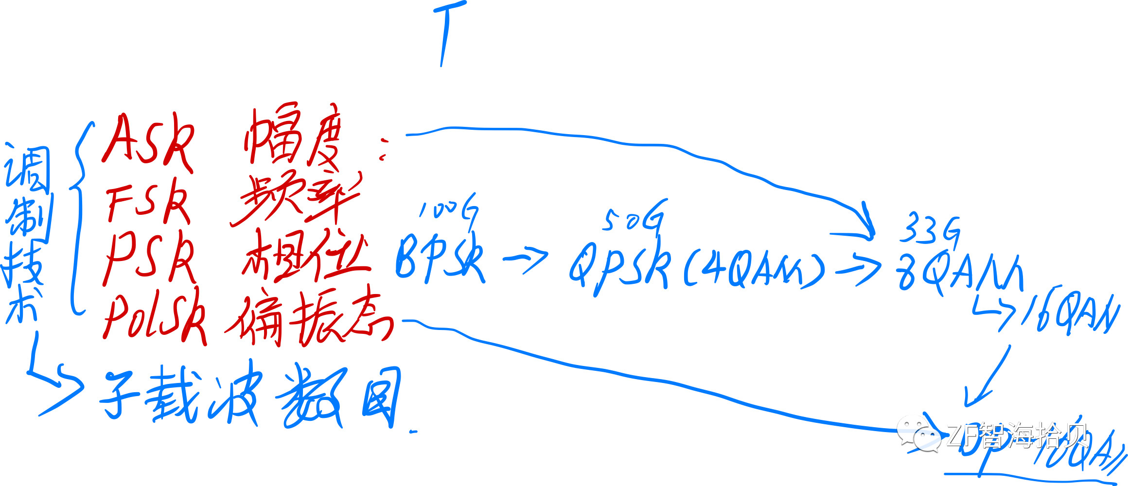 PTN和OTN漫谈_otn ptn spn的区别-CSDN博客