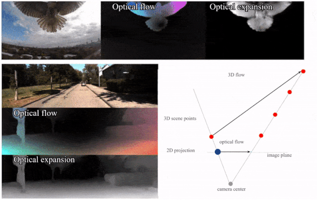 CVPR 2020 论文大盘点-光流篇_OpenCV中文网-CSDN博客