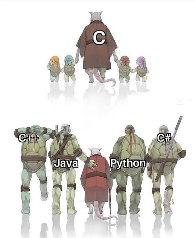 Rust 和 C 性能对比：排序 Csdn博客 