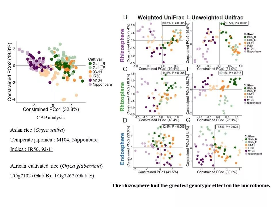 PNAS：水稻微生物组-CSDN博客