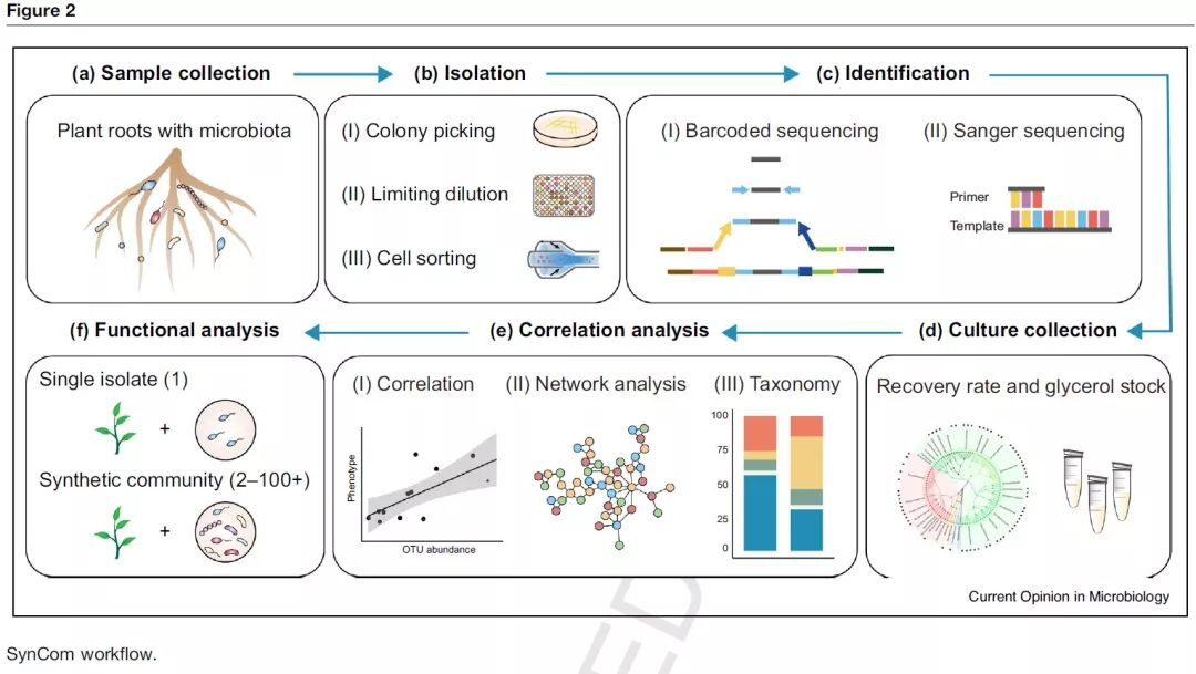 COM：根系微生物组研究中的合成群落还原法-CSDN博客