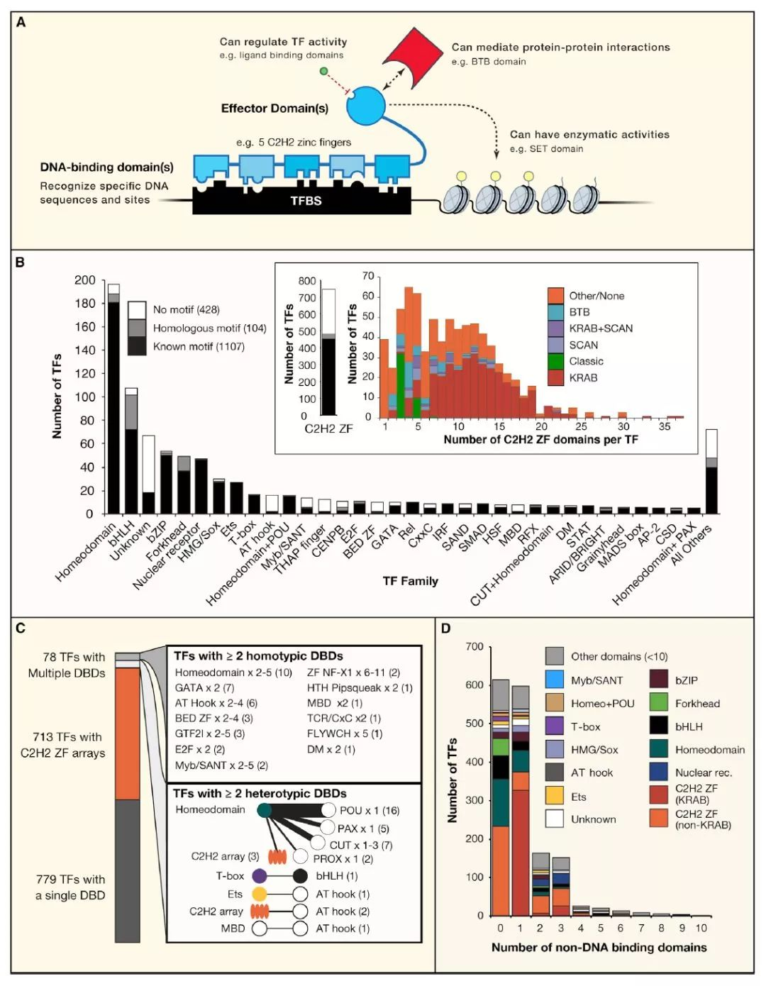 Cell重磅综述：关于人类转录因子，你想知道的都在这-CSDN博客