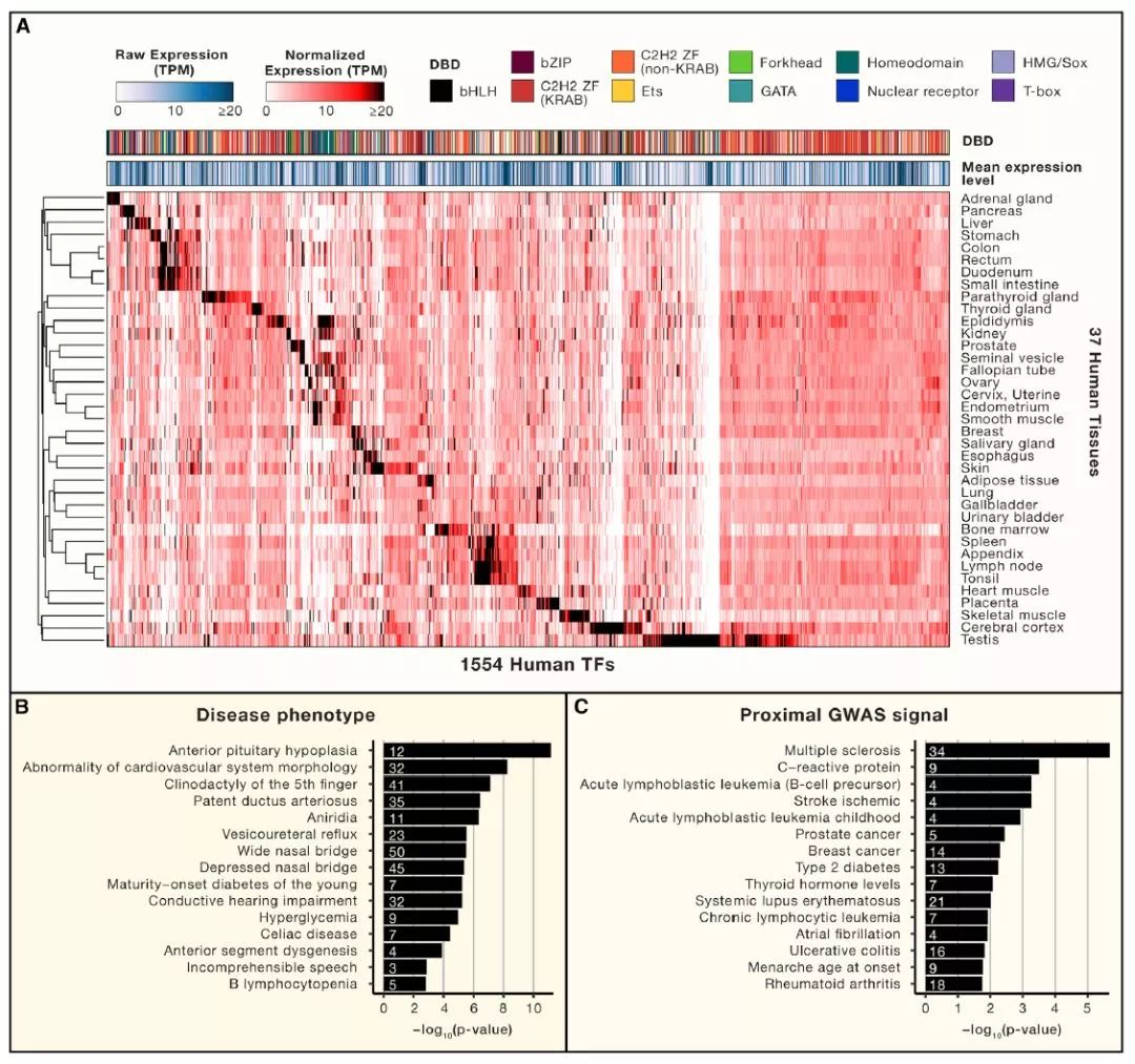 Cell重磅综述：关于人类转录因子，你想知道的都在这-CSDN博客