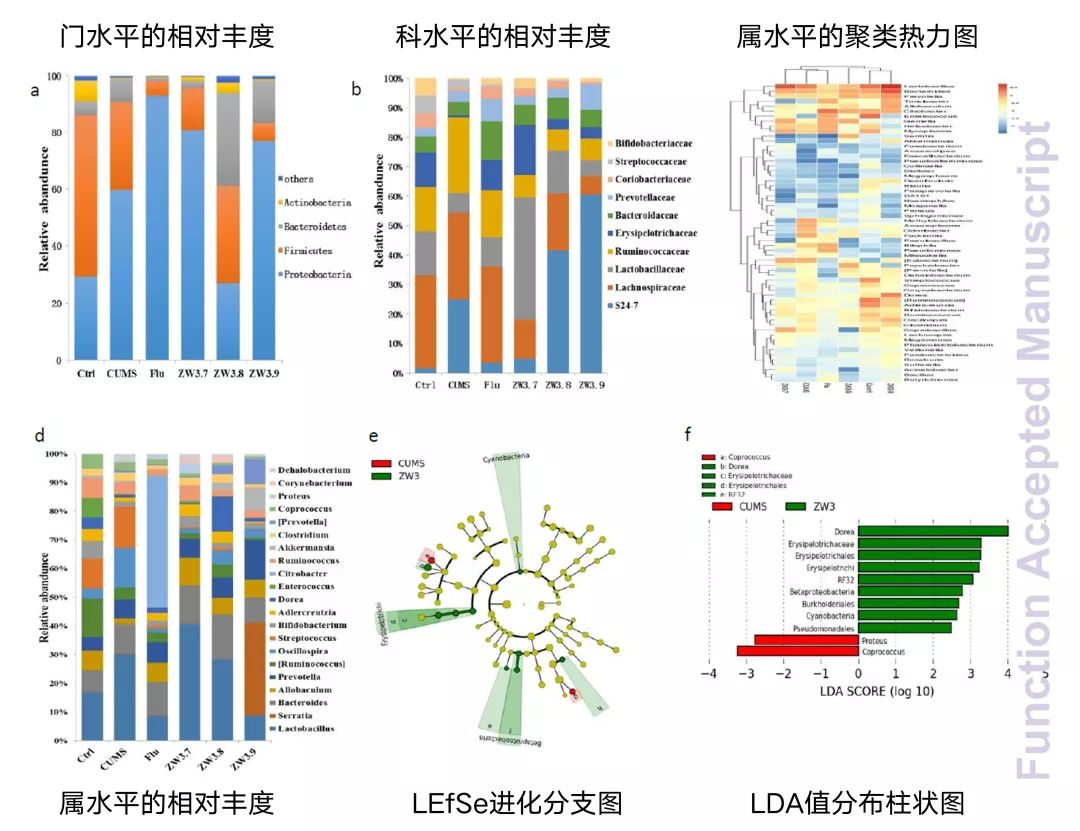 16s测序 | 如何轻松发表文章-CSDN博客