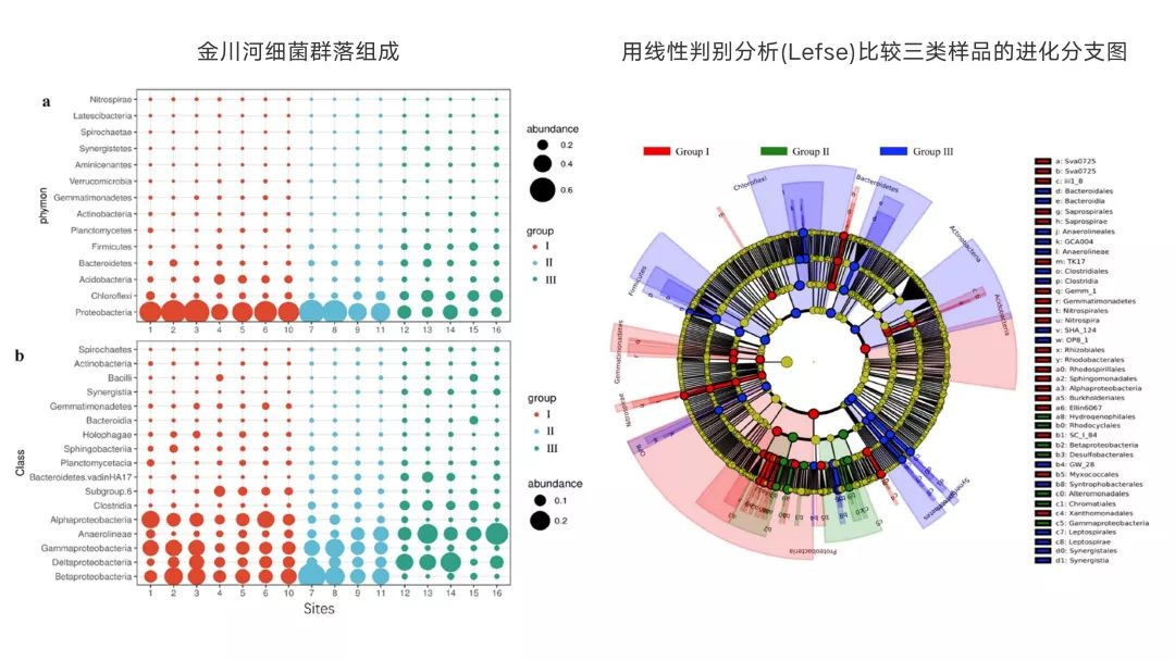 16s测序 | 如何轻松发表文章-CSDN博客