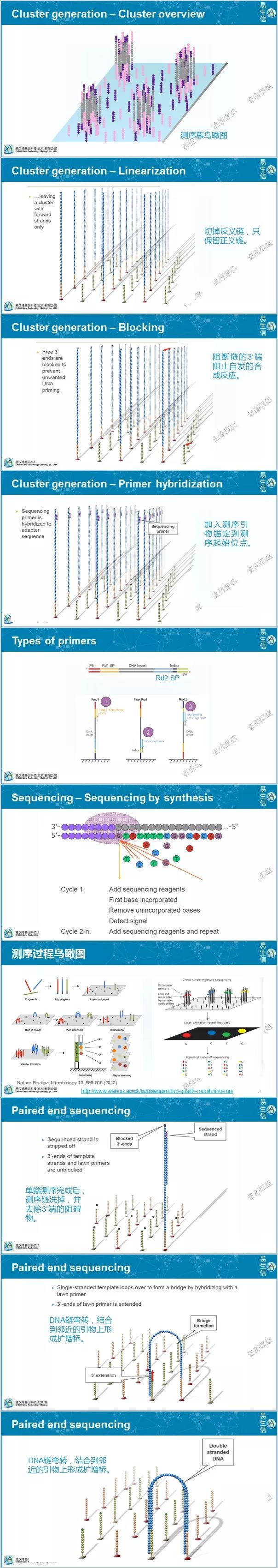 NGS系列文章 - 高通量测序原理-CSDN博客