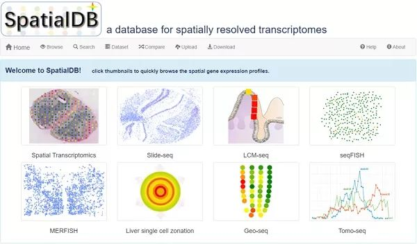SpatialDB |单细胞空间转录组数据分析可视化平台-CSDN博客