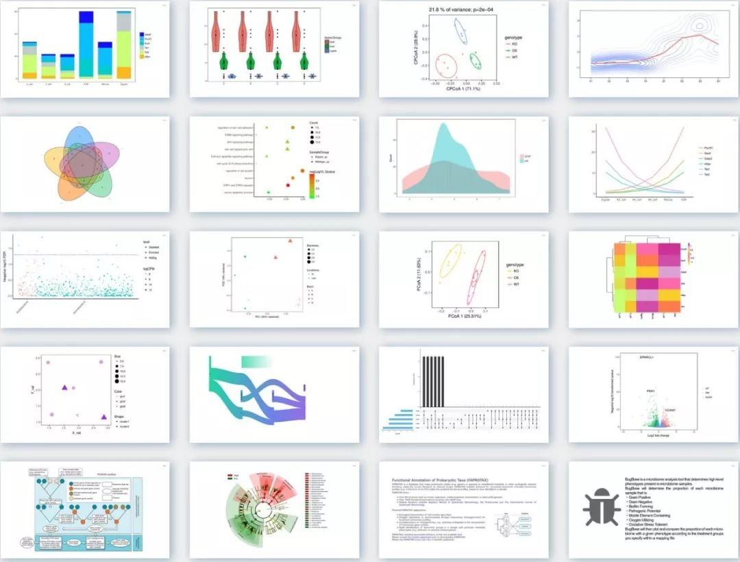 画图手册 | ImageGP：今天你“plot”了吗？-CSDN博客